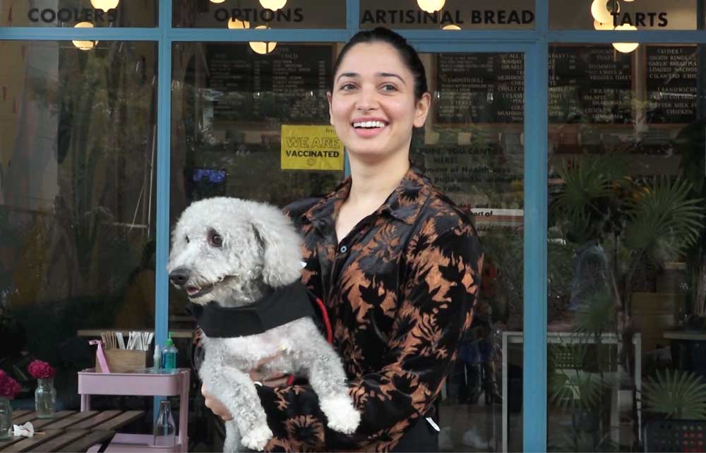 Celebrity Sighting - Tamannaah Bhatia shows off her dog as she visits ...